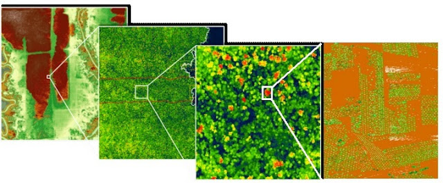Advantages of LiDAR Usage for Agriculture | Agriculture, Technology ...