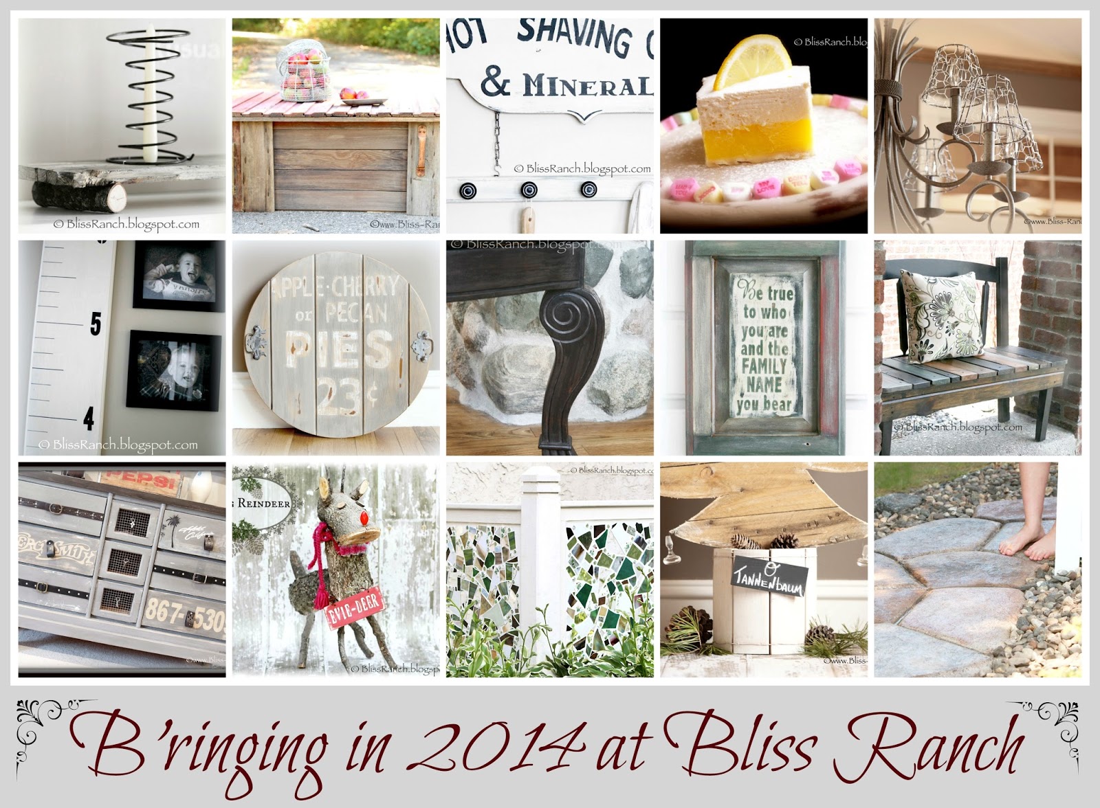 Bliss Ranch: 2013 Project Collage