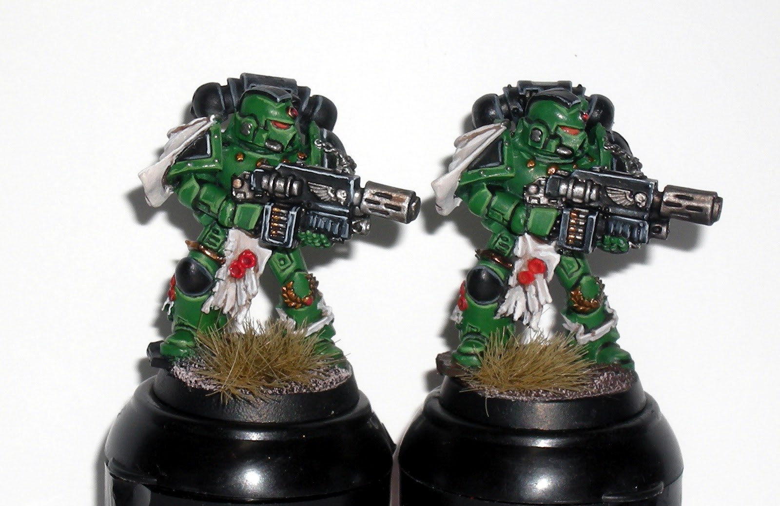 A Bunch of Tactical Whatevers: Salamander Sternguard Veterans