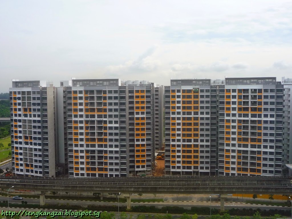 Zai@Sengkang: Anchorvale Cove (Year 2014 Week 25)
