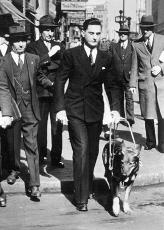 Famous Dogs in History: Buddy: The First Seeing Eye Dog in America