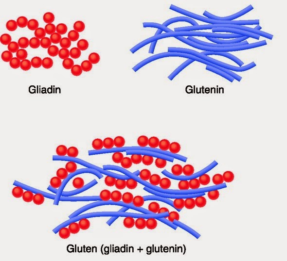 Безглутеново хранене и цьолиакия - Gluten free diet and celiac disease