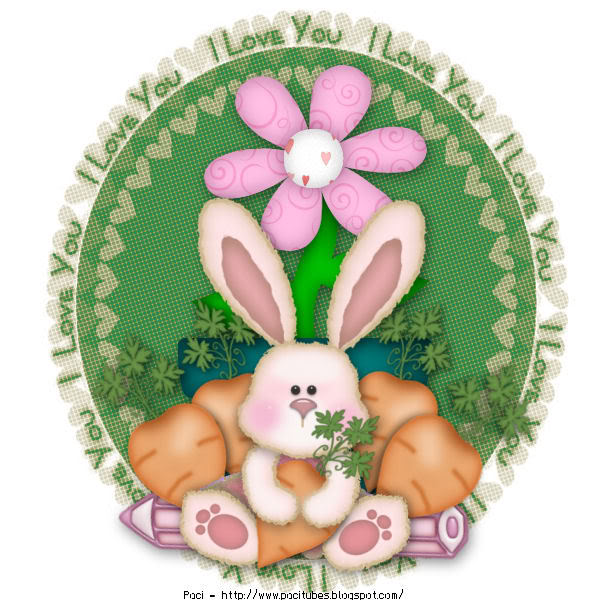 Conejitos tiernos bebés - Imagui