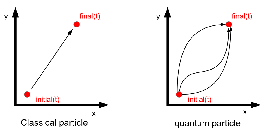 MuonRay: The Path Integral Interpretation of Quantum Mechanics