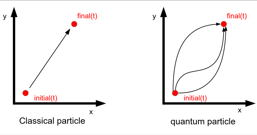 MuonRay: The Path Integral Interpretation of Quantum Mechanics