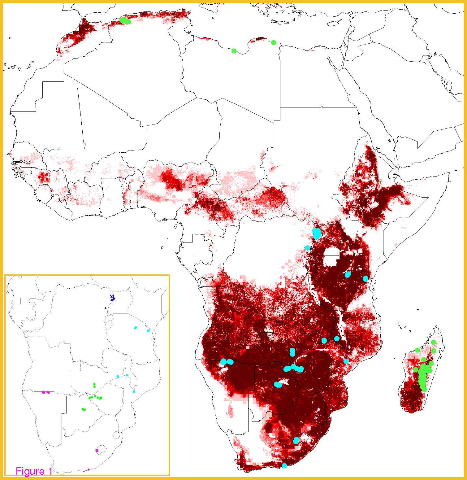 random notes: geographer-at-large: Map of the Week 11-28-2011:The ...