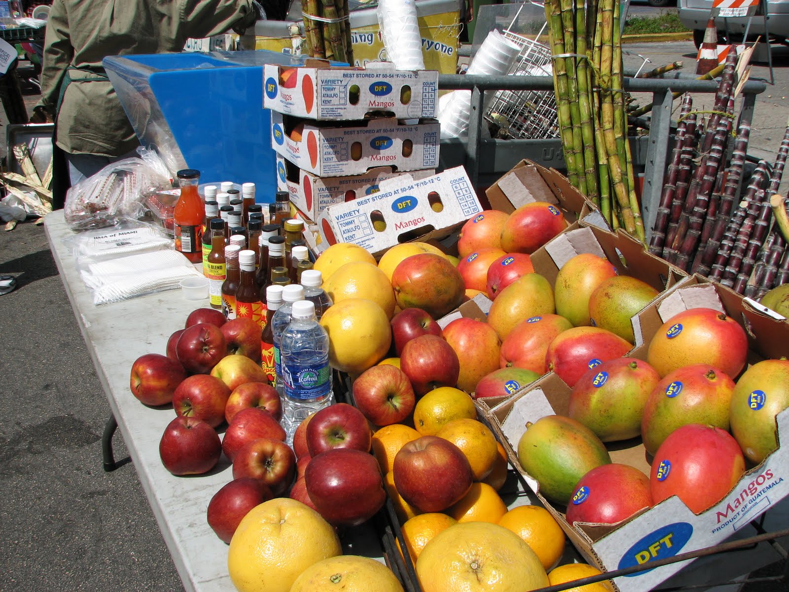 Bonao Internacional: PRODUCTOS COMUNES EN LA FLORIDA