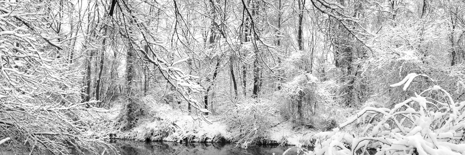 Snow Twitter Header Tumblr