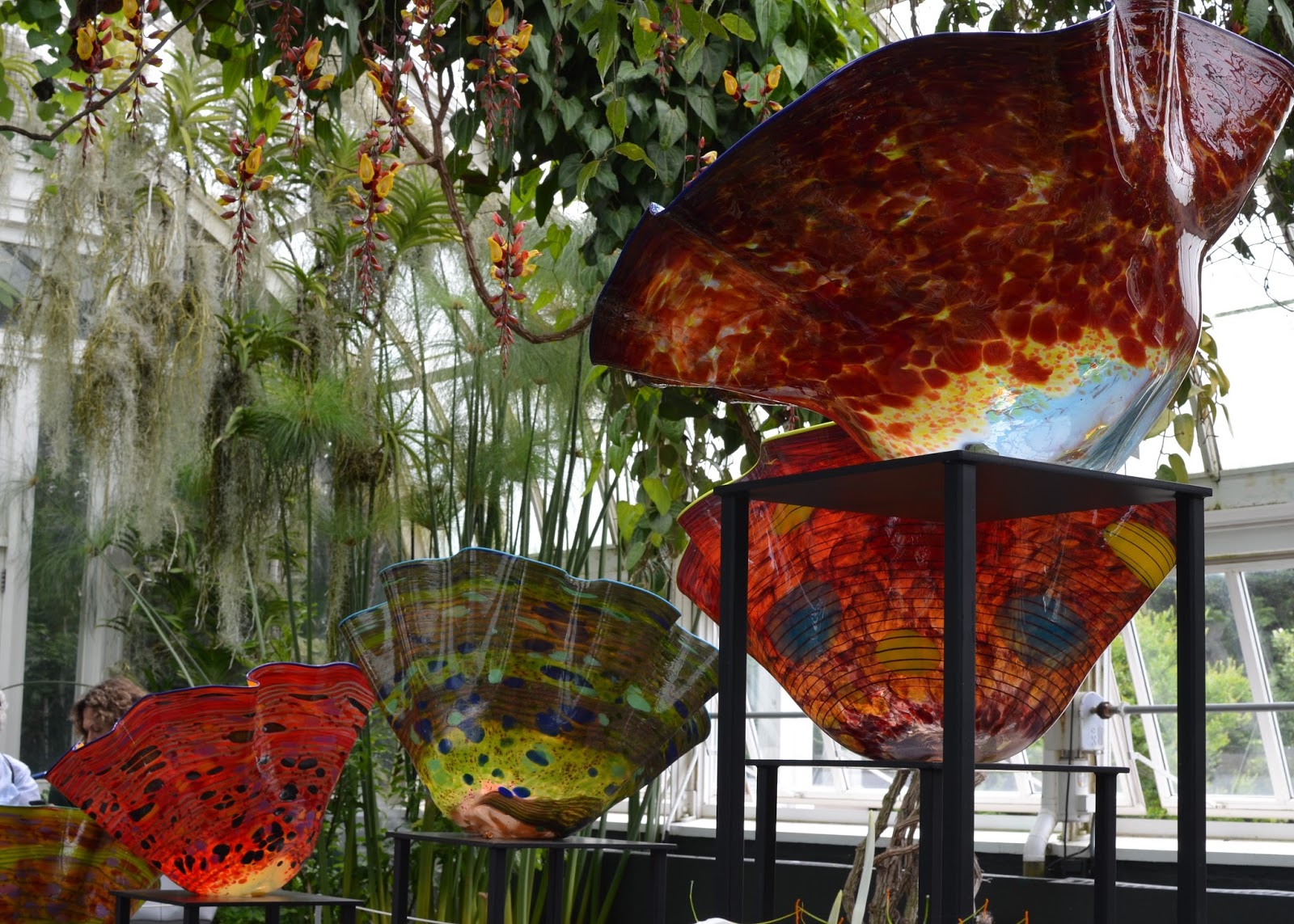 There's a Dragon in my Art Room: Chihuly at the NY Botanical Garden