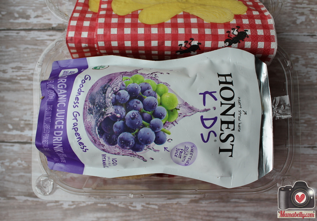 Mamabelly's Lunches With Love: Disposable Field Trip Lunches {with ...