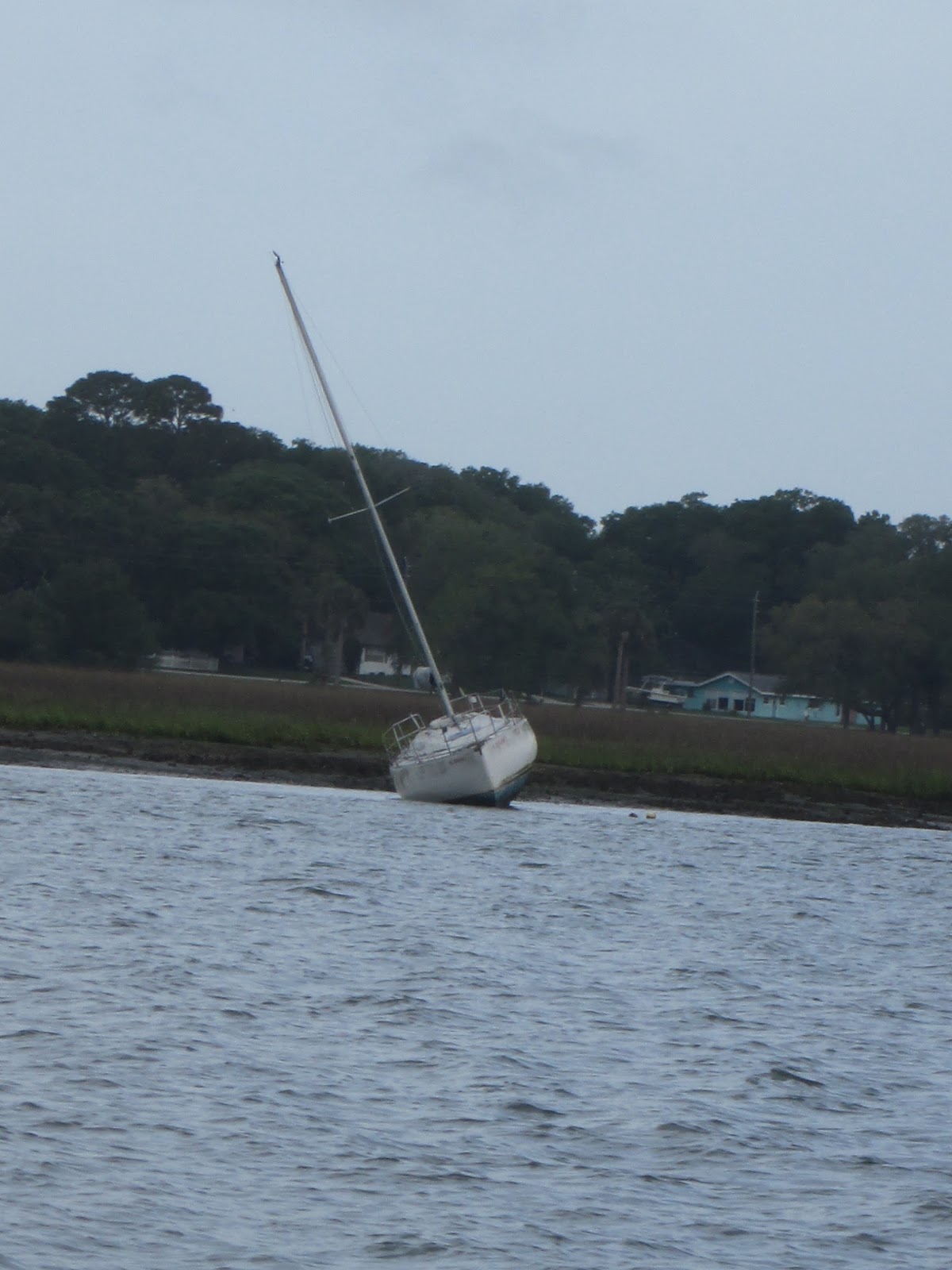 Adventures of Surona and DeJa Vu