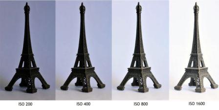 Understand the Concept of ISO on the Camera | Review Camera Digital ...