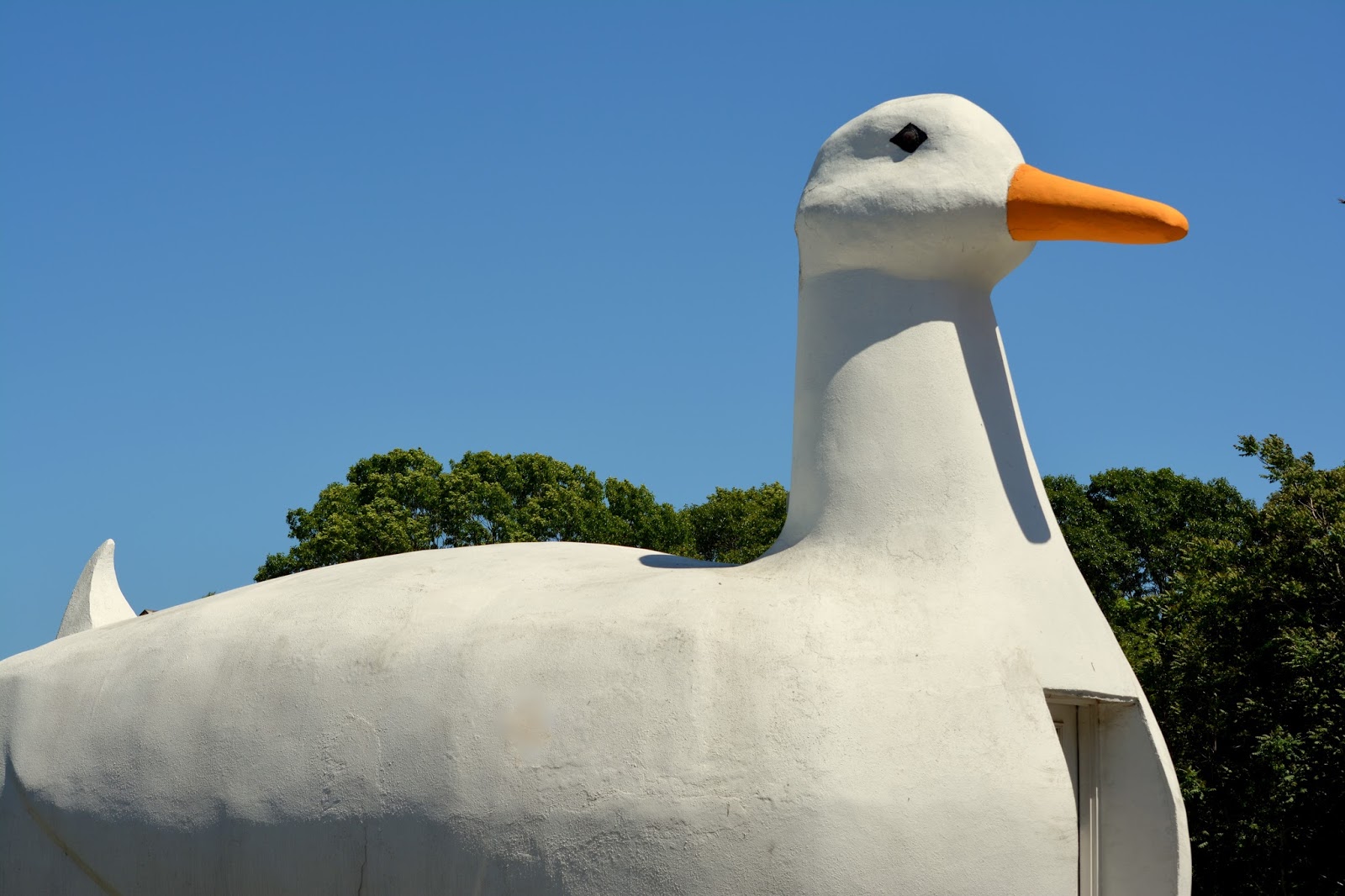 Shybiker: The Big Duck