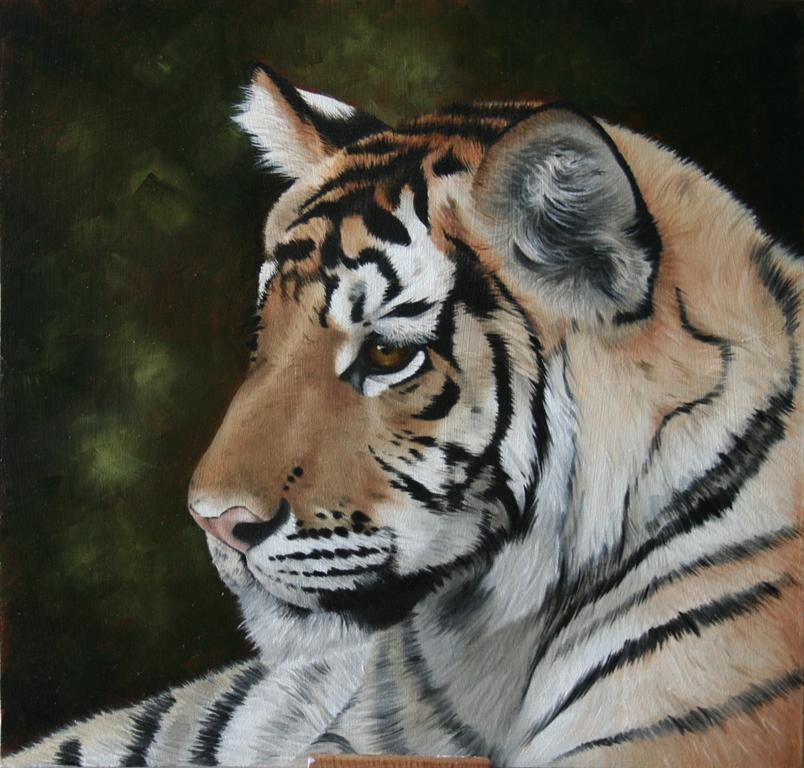Clive Meredith Wildlife Art: Marwell international wildlife art society ...