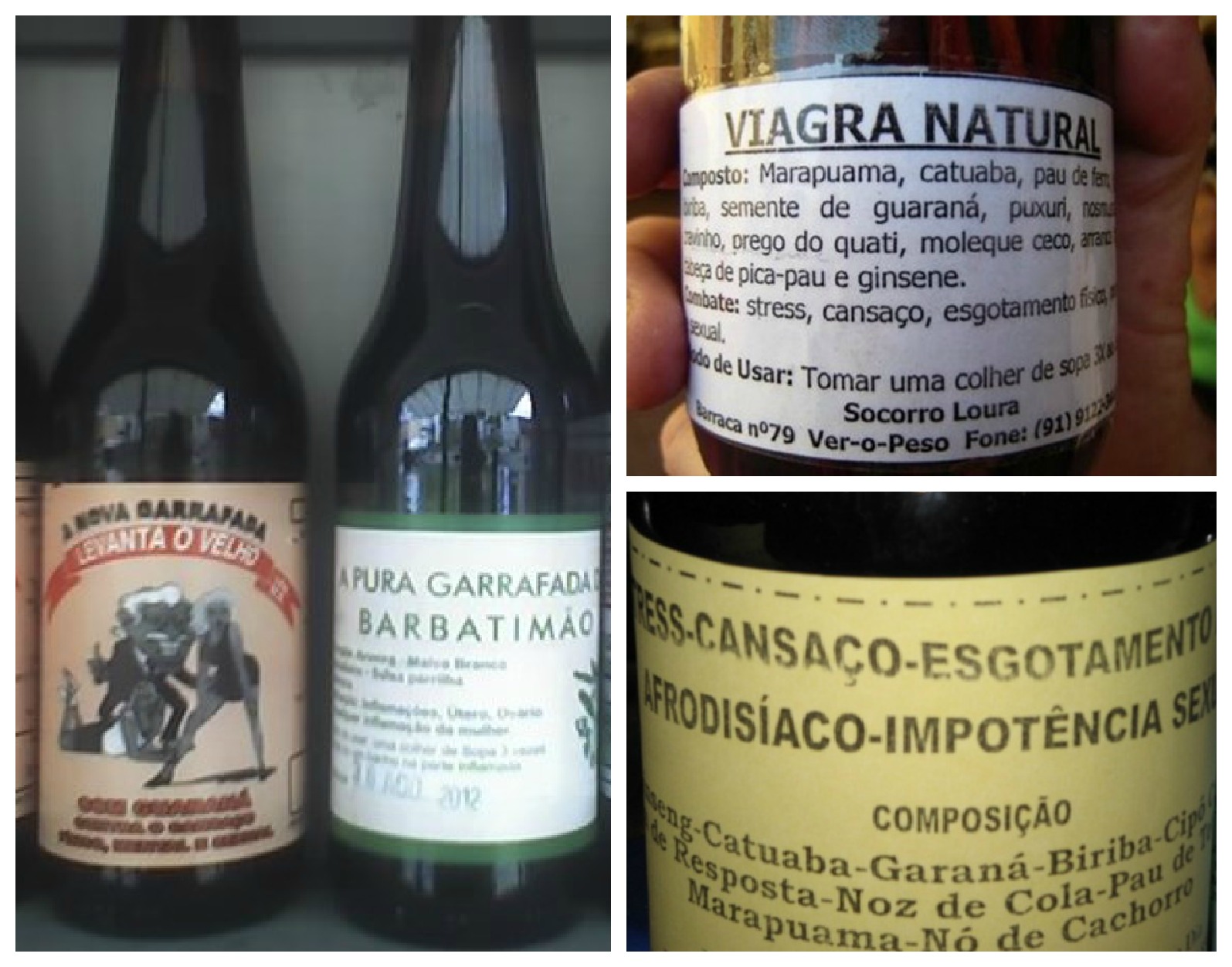 VENTO NORDESTE: DO LAMBEDOR ÀS GARRAFADAS - O PODER MEDICINAL DAS ...