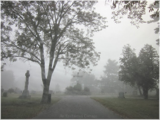 An Enchanted Cottage: A foggy morning walk...