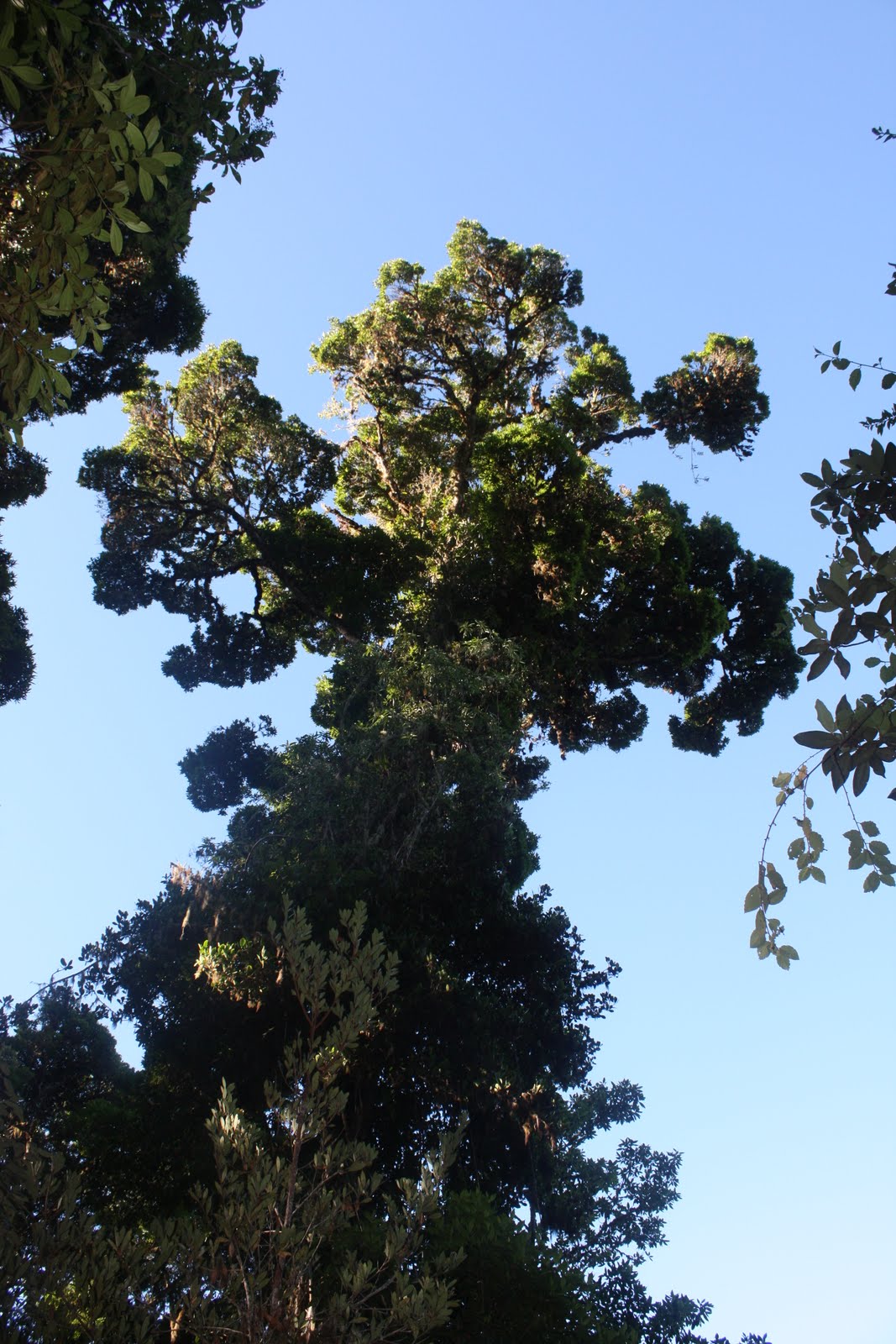 Costa Rica Journal: The Ascent of Mount Chirripo