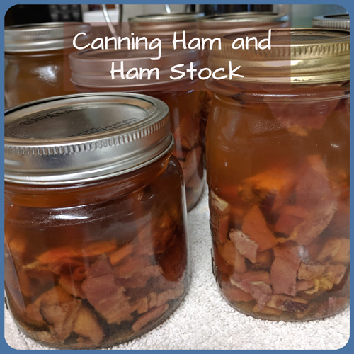 Canning Ham with Homemade Stock