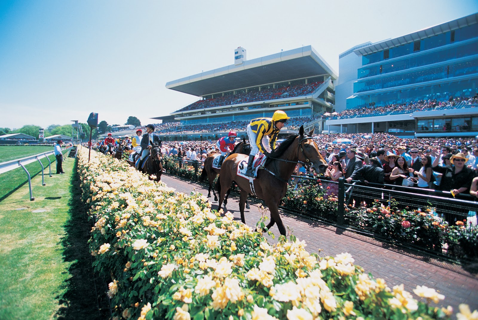 Sunlover Holidays: 2012 Melbourne Cup Carnival packages
