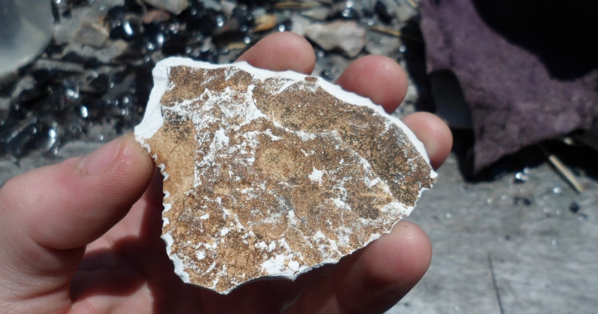 Archaeology Test Kitchen: All Mixed Up: Assessing the Triple Cortex ...