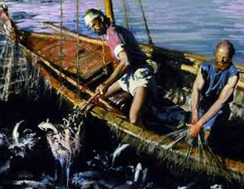 NET BREAKING & BOAT SINKING