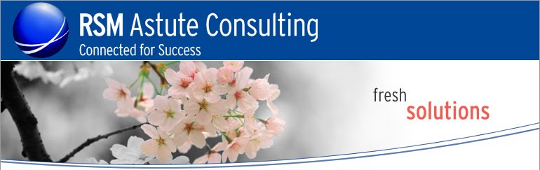 RSM Astute Consulting Blog