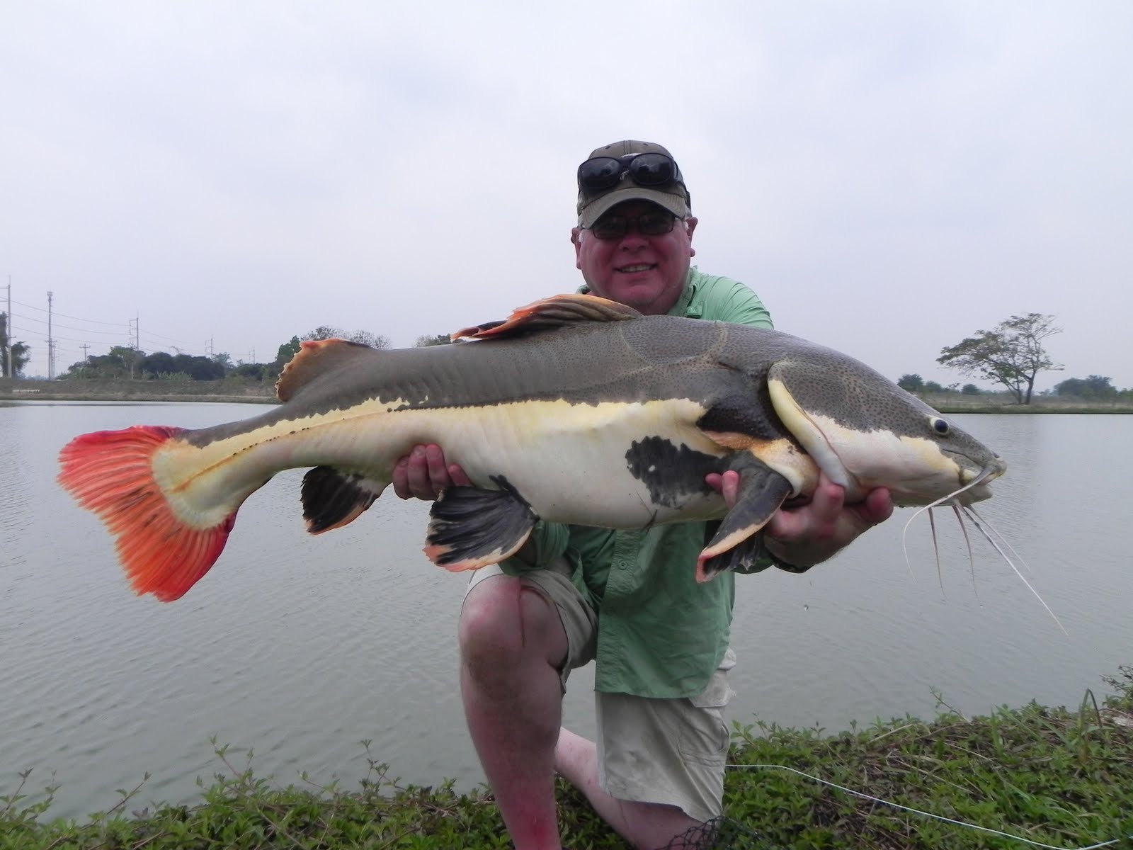 THE FISHING NEWS: MY TOP 10FRESHWATER FISH FIGHTERS