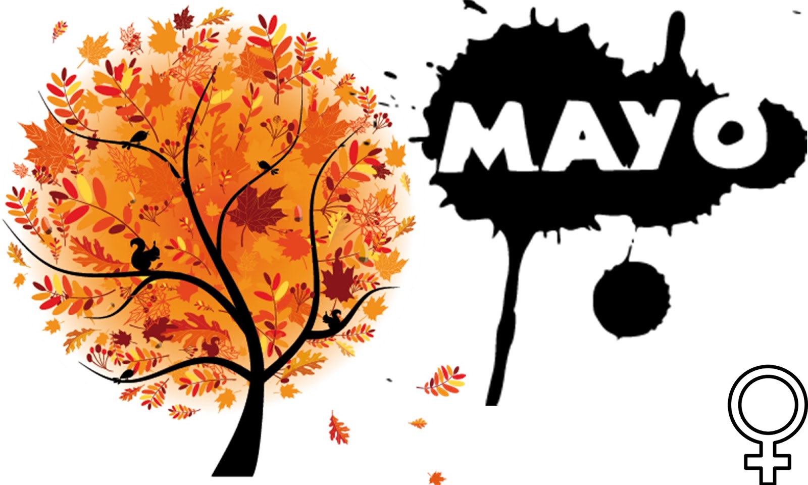 NBF Blog: Bienvenido Mayo