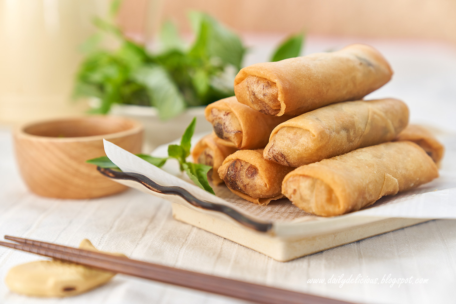 dailydelicious: Vegan Spring roll