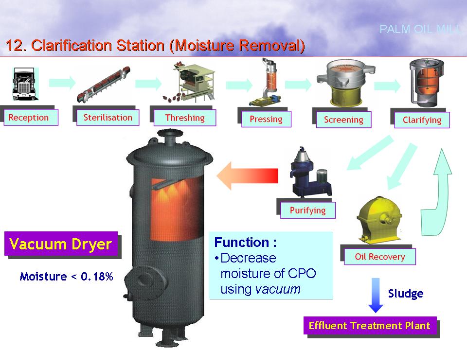 Pabrik Pengolahan Kelapa Sawit | Kelapa Sawit