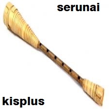 Alat Musik Tradisional [NTB] Nusa Tenggara Barat - KISPLUS