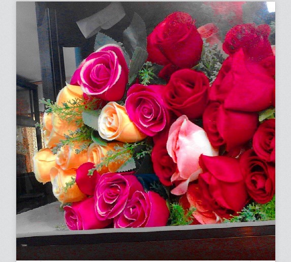 Gambar DP BBM Bunga ~ Kumpulan Gambar DP BBM