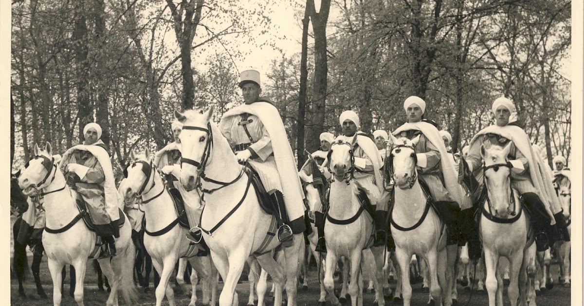 French Vocabulary Illustrated: spahi