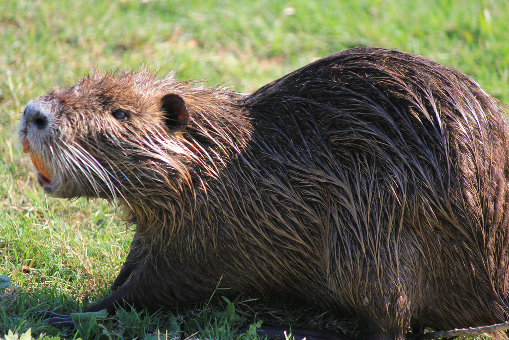 Natureza, Perfeição sem tamanho...