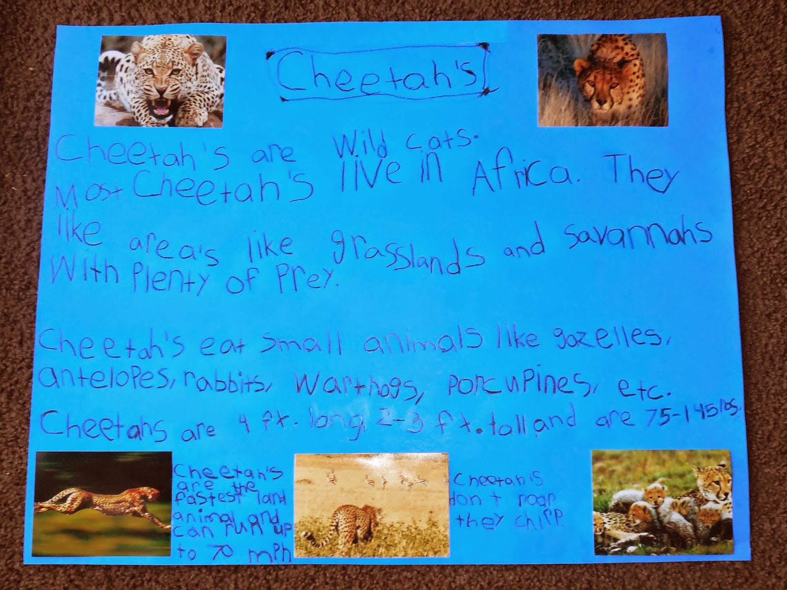 Mommy's Musings: Happy Homemaker Monday 04/28/2014