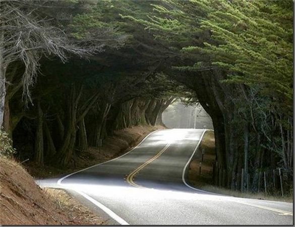 welcome to pknlr blog: 17 Weird Roads
