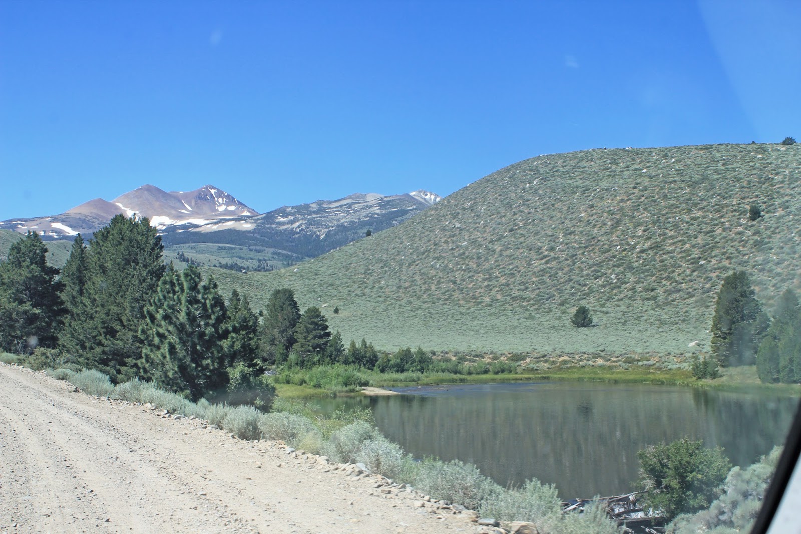 Western Sojourns: Travels with Camissonia: EASTERN & CENTRAL SIERRAS ...