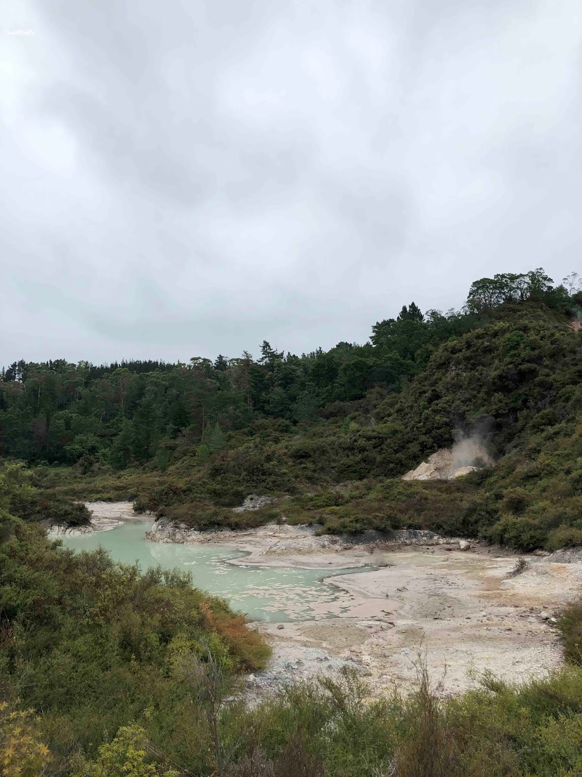 Hawaii Mom Blog: Visit Rotorua: Te Puia