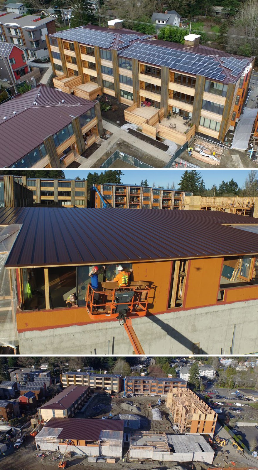 Asani: Grow Community Construction Update: New lights, and other highlights