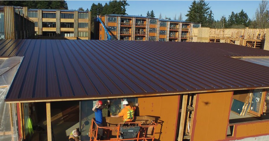 Asani: Grow Community Construction Update: New lights, and other highlights