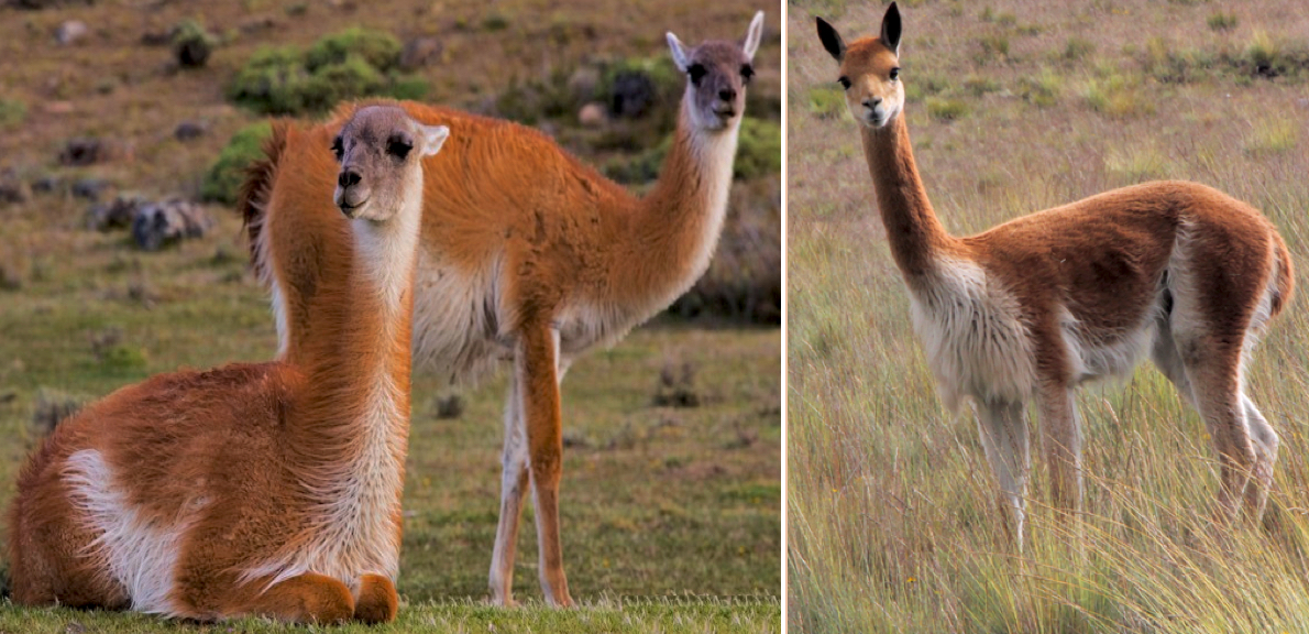 NephiCode: March 2017