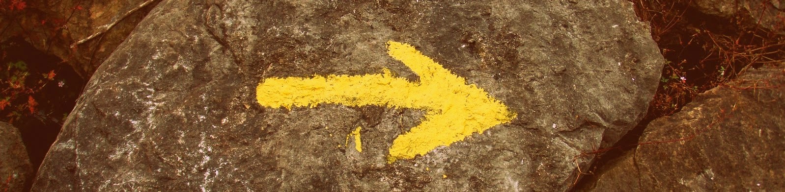 Ultreia et Suseia: El Camino de Santiago