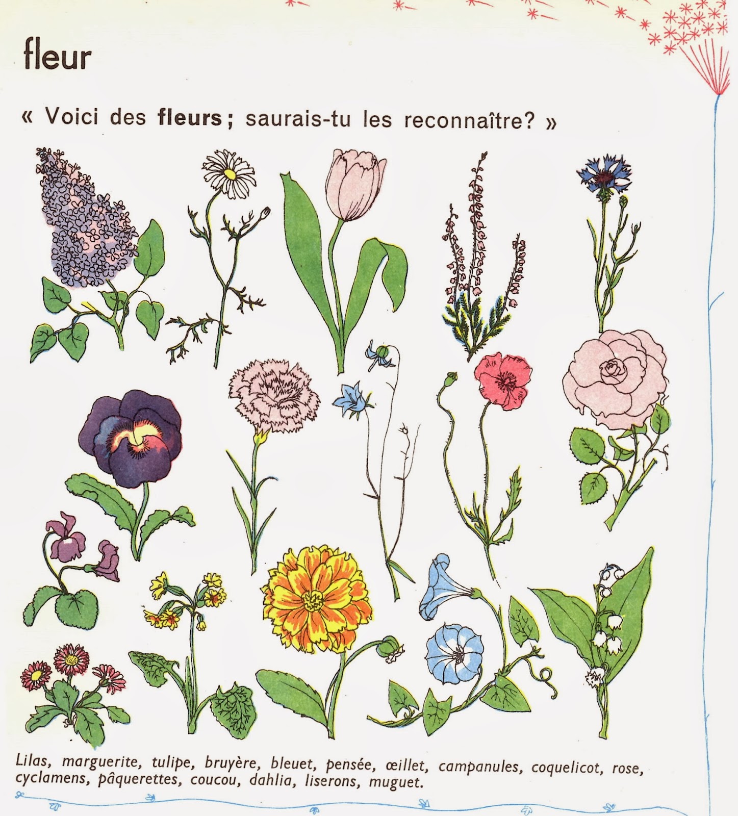 Polly-Vous Francais?: 10 Little French Words to know for Valentine's Day