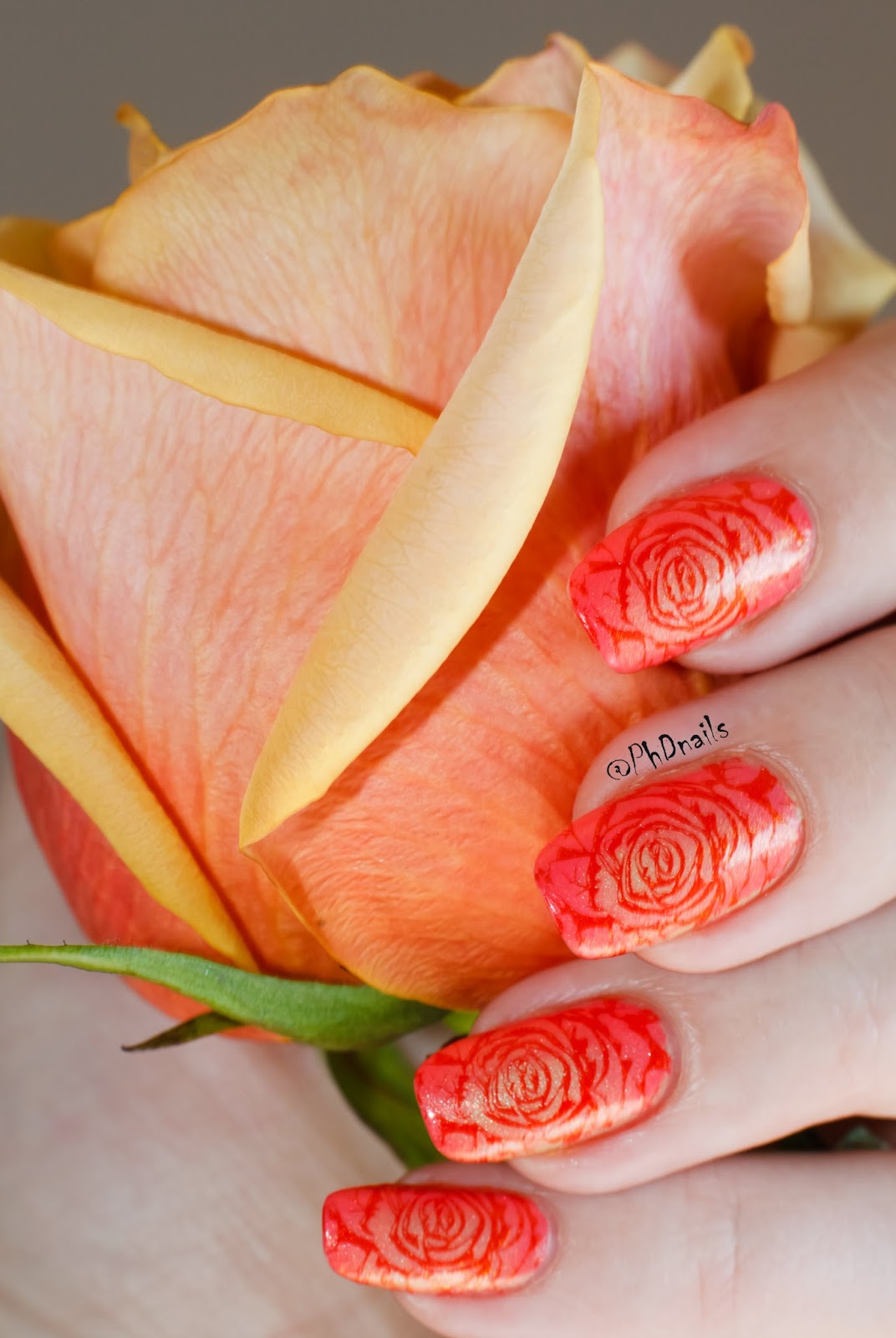 PhD nails: HPB presents: Nail art and tutorial with radial gradient and ...