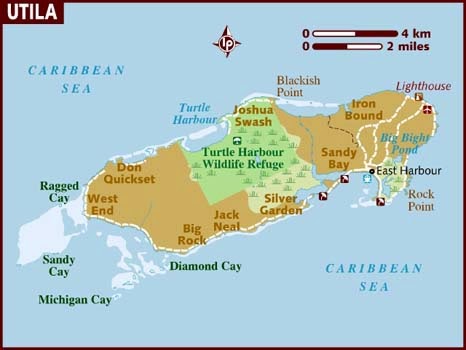 Amazing place: Utila a Beautiful tropical island for tourism