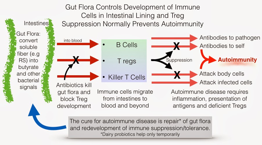 Cooling Inflammation: Health Diagrams II — Curing Autoimmunity and ...
