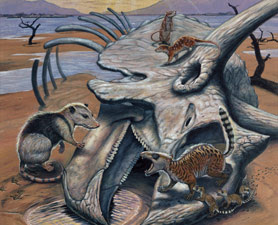 TRICERATOPS WAS LAST DINOSAUR STANDING