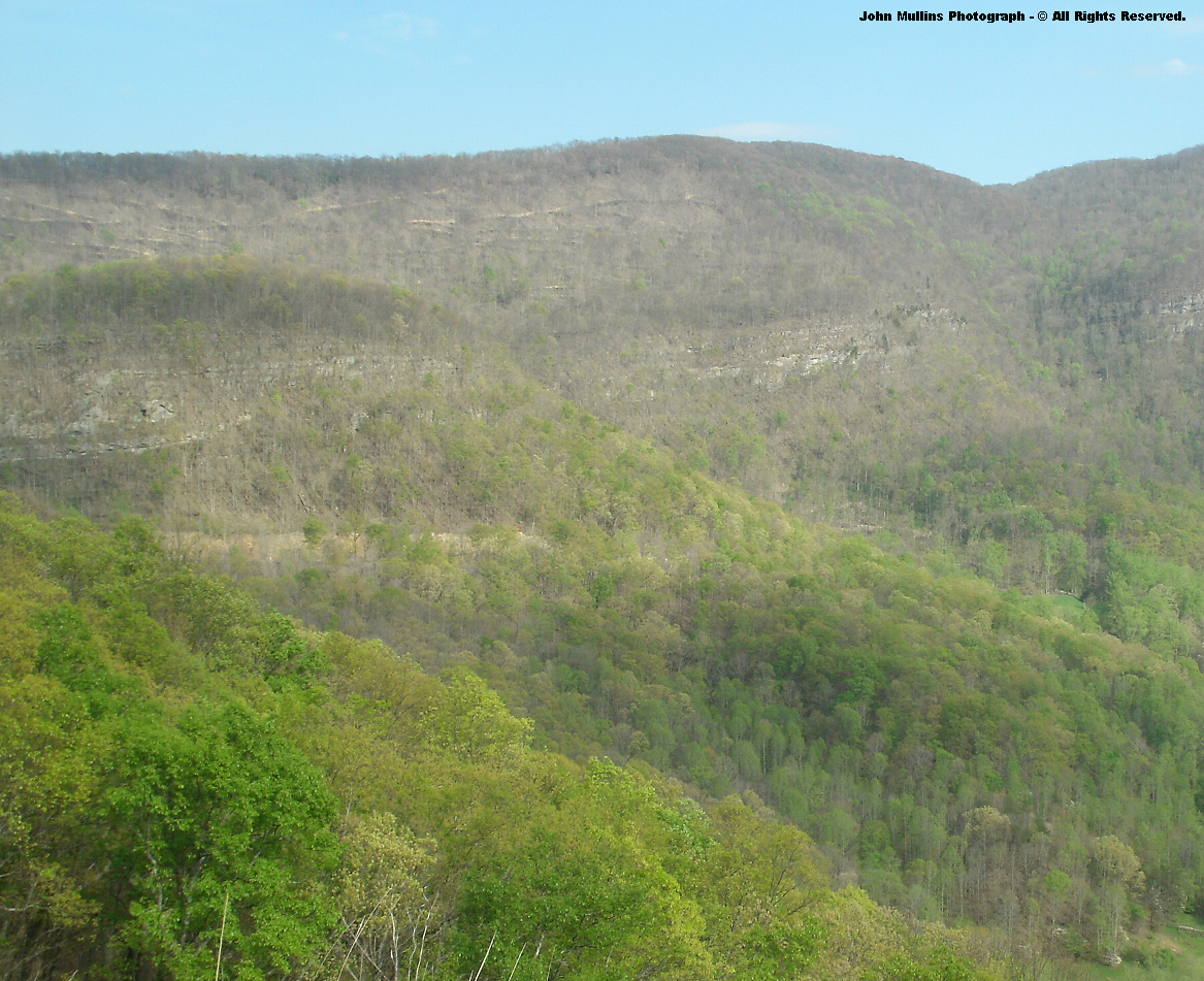 The High Knob Landform: April 2012 - Spring Majesty In Maple Gap