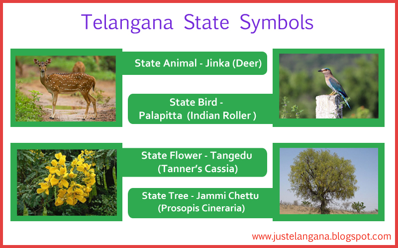 Symbols of Telangana State - Just Telangana