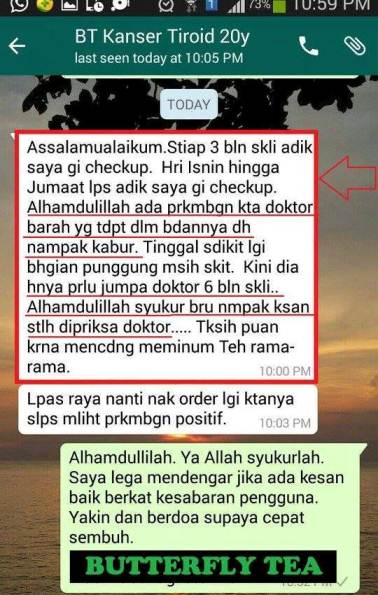 KEDAI JAMU KAK ZAH: daun rama- rama asli, segar dan murah